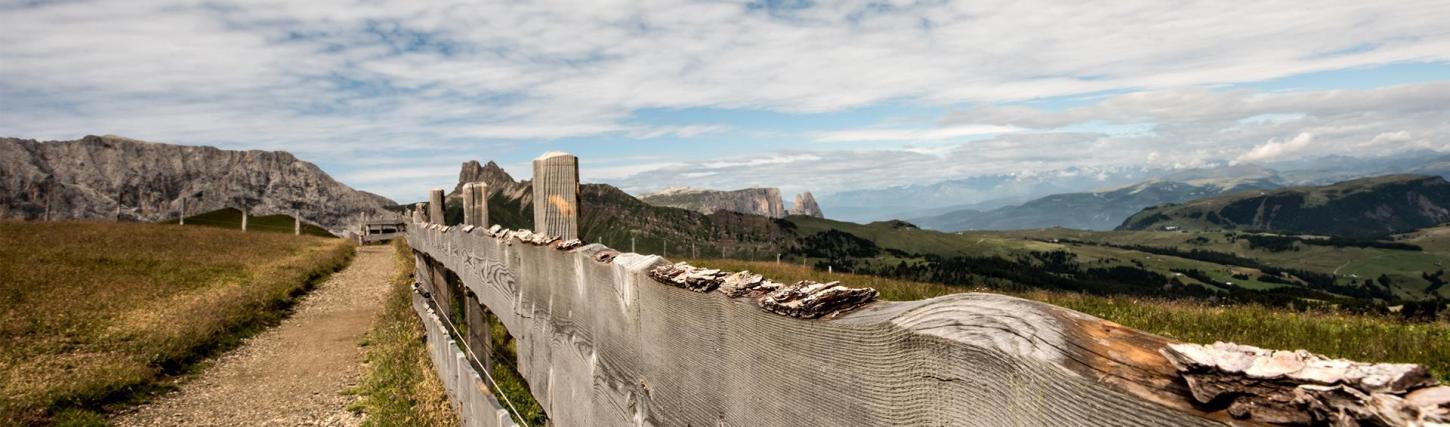 You can only reach the Rifugio Sasso Piatto on foot - enjoy the nature